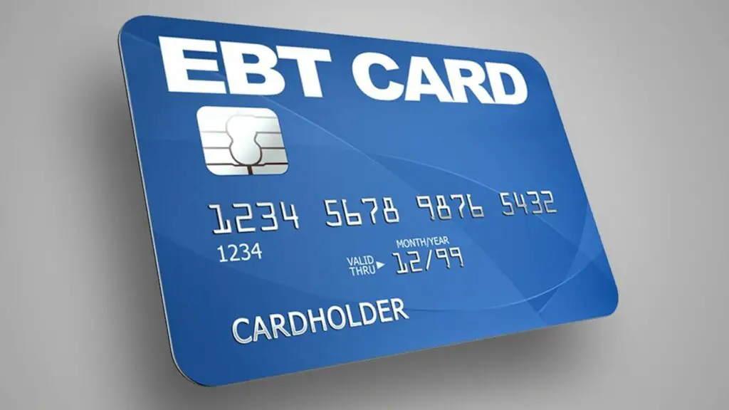 What Stores Can I Enter My EBT Card Manually? | Food Lion Guide ...
